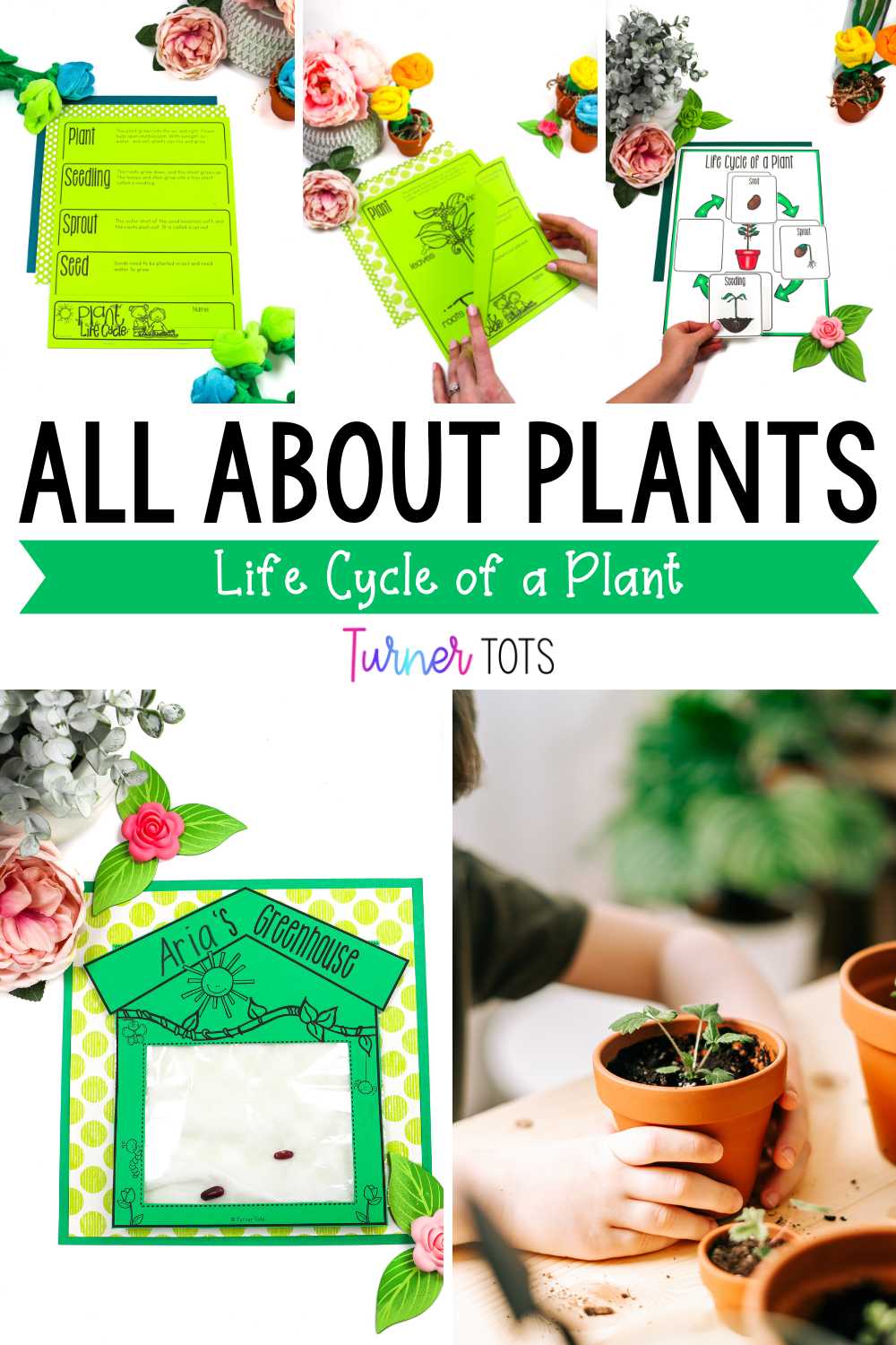 5 Plant Science Activities for Preschoolers to Plant a Love of Learning
