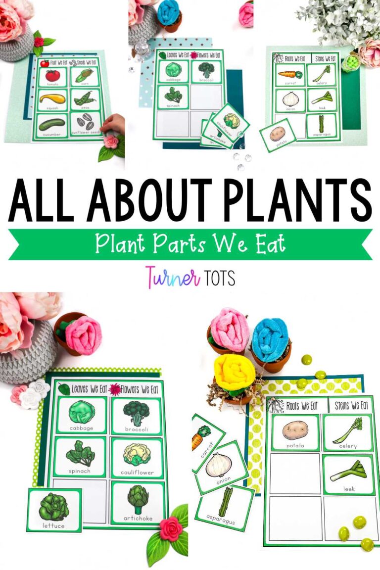 5 Plant Science Activities for Preschoolers to Plant a Love of Learning