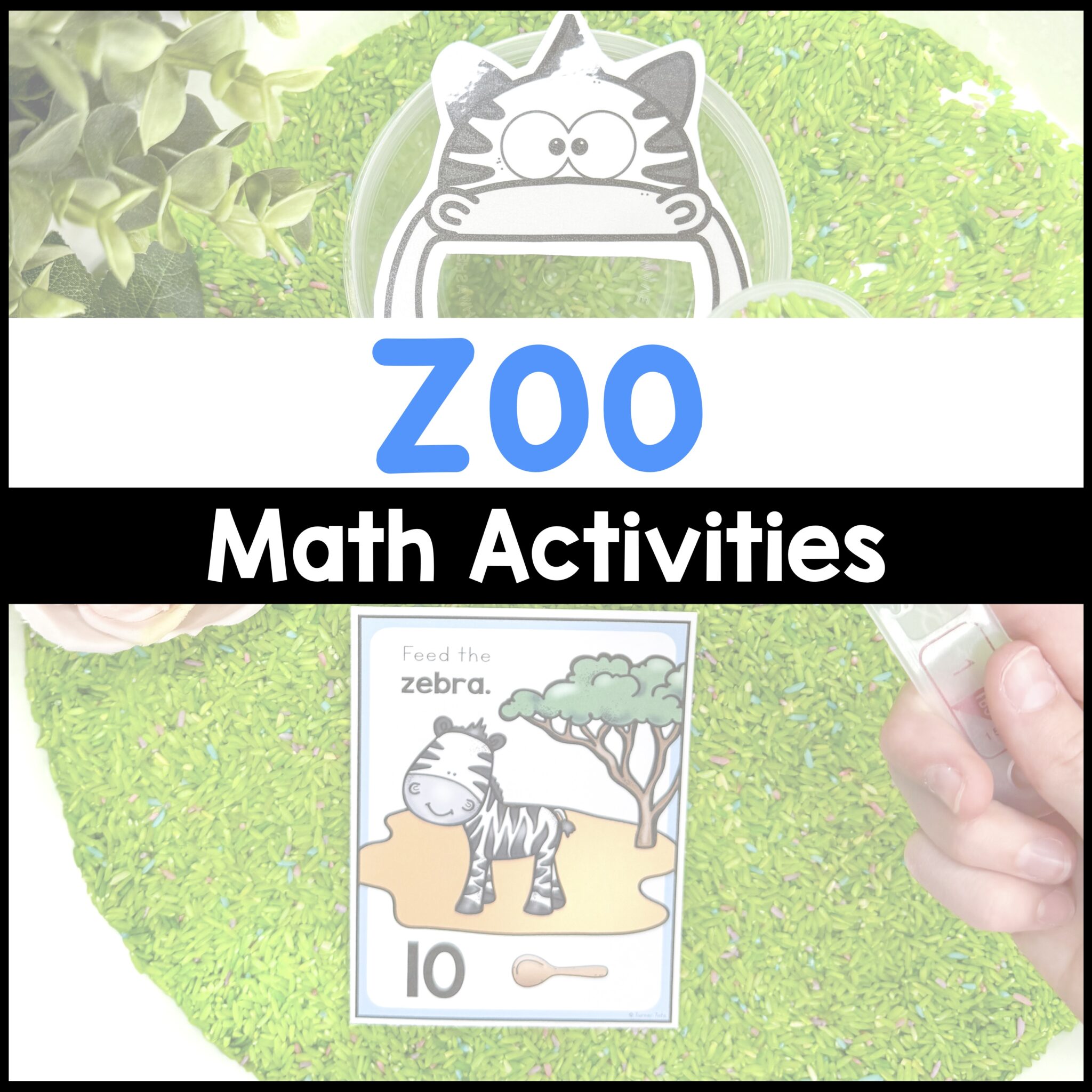 6 Zoo Activities for Preschool They'll Be Wild About in Math Centers ...