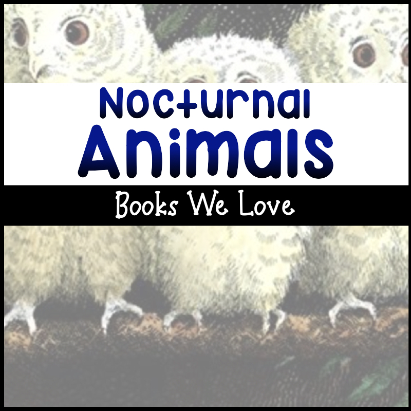 5 Nocturnal Animal Books to Show Toddlers Night Isn’t Scary