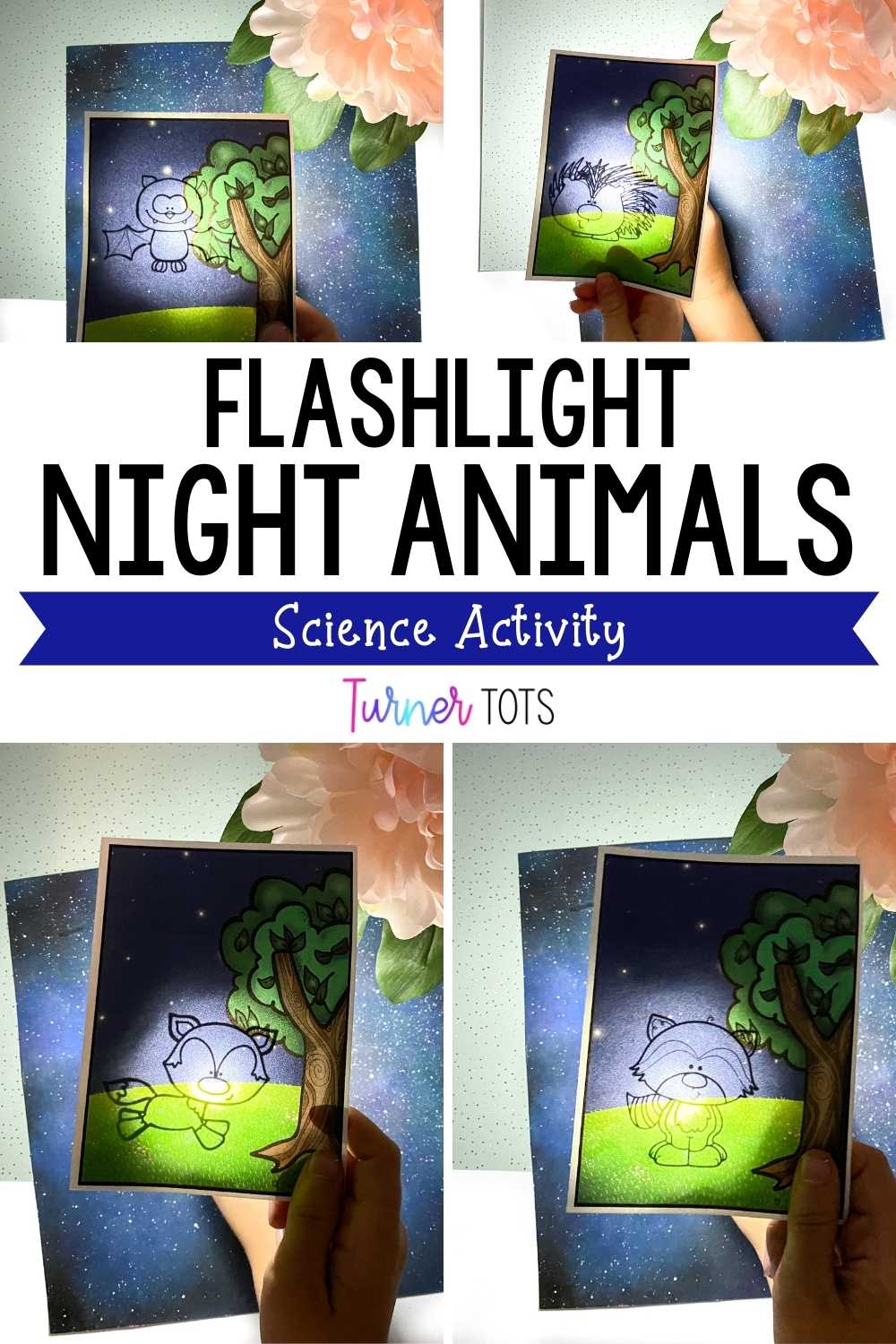 8 Nocturnal Animals Science Activities That Engage the Five Senses