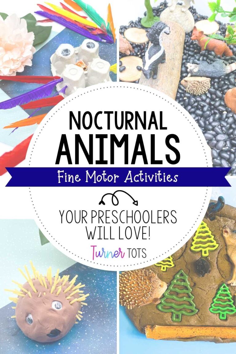 5 Nocturnal Animal Activities for Strengthening Fine Motor Skills
