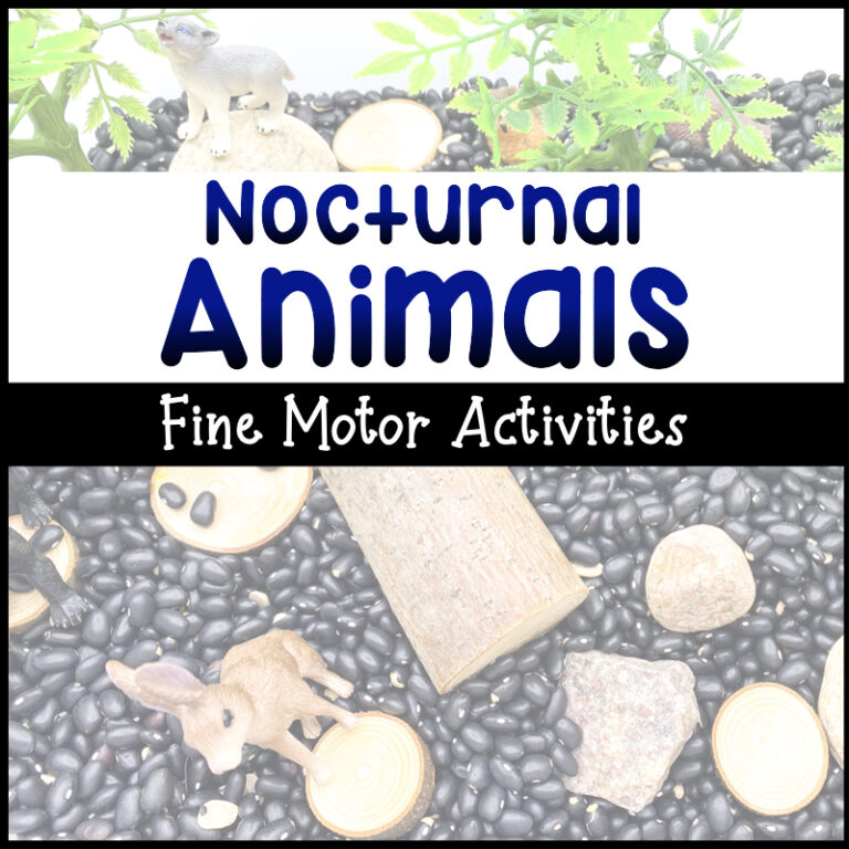 8 Nocturnal Animals Science Activities That Engage the Five Senses