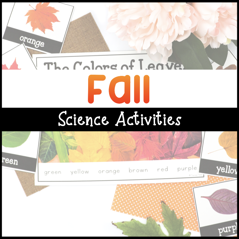 Fall Leaf Activities for Preschoolers to Spark Fun & Creativity
