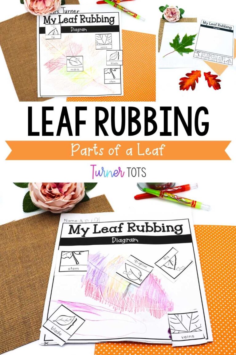 Fall Leaf Activities for Preschoolers to Spark Fun & Creativity