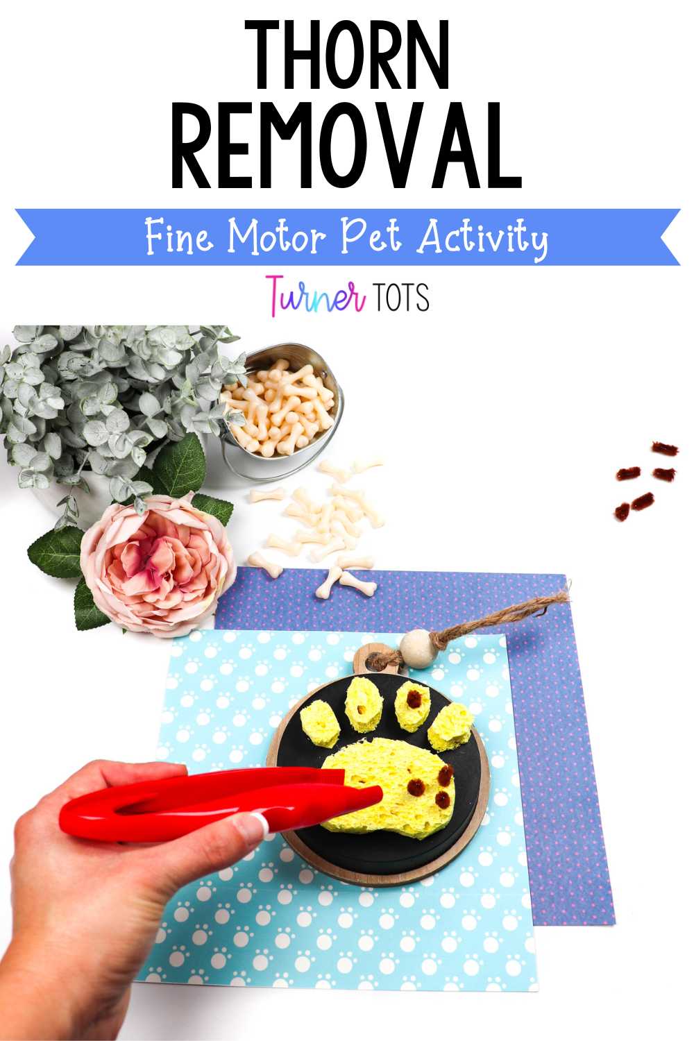 5 Pet Preschool Activities for Fine Motor Skills That Hit the Spot