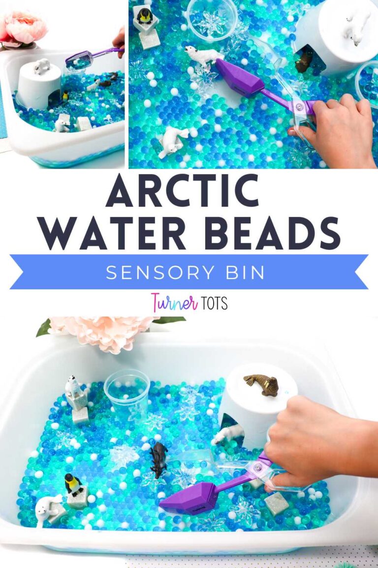 5 Winter Fine Motor Activities Diving with Polar Animal Fun