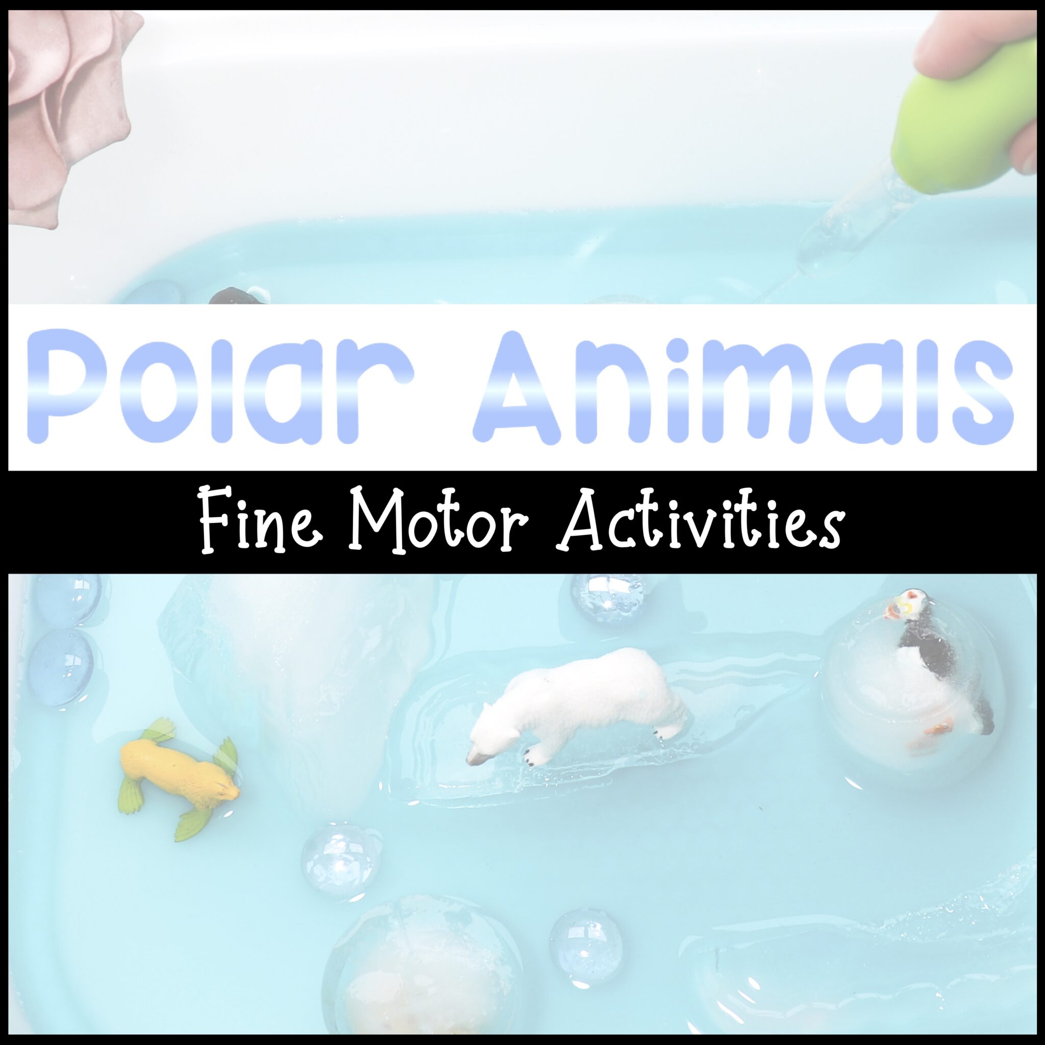 5 Winter Fine Motor Activities Diving with Polar Animal Fun