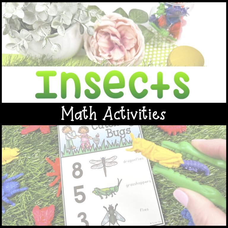 5 Bug Math Activities for Preschoolers That Are Buzzing with Fun