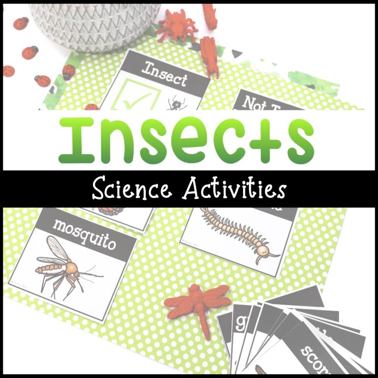 Bugs and Science Activities for Preschoolers to Explore Tiny Critters